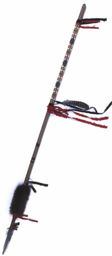 Sioux Buffalo Lance | My Site