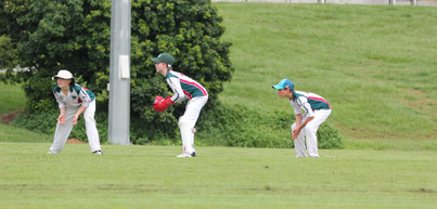 About | Ferny Districts Cricket Club