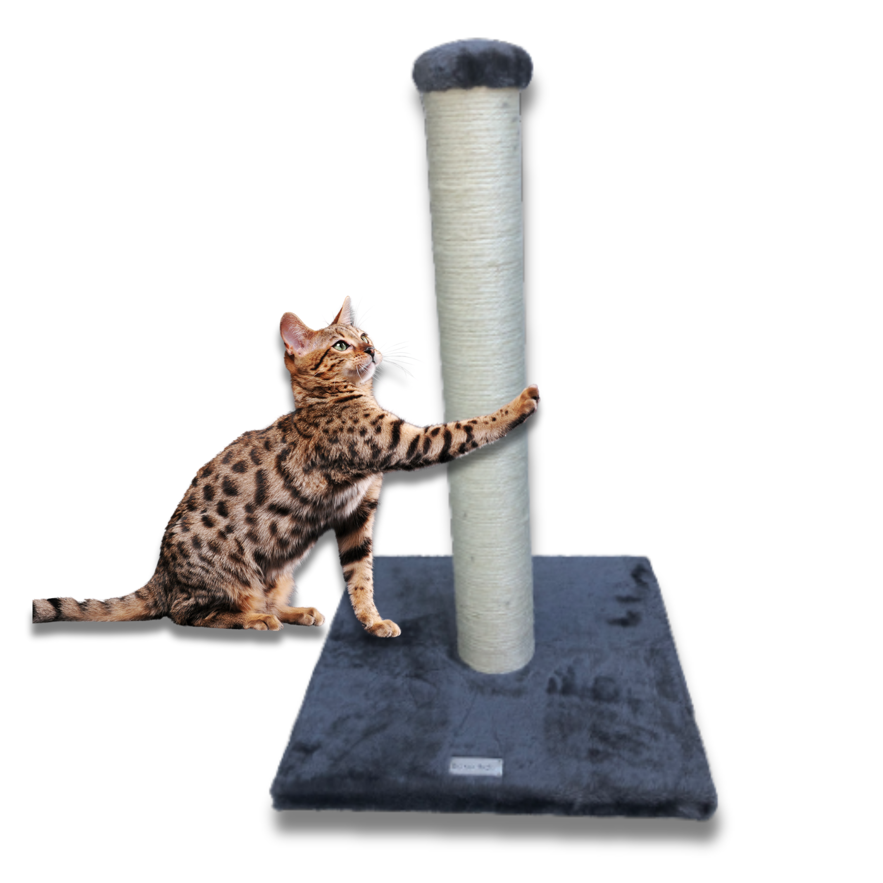 sisal-cat-pole-3