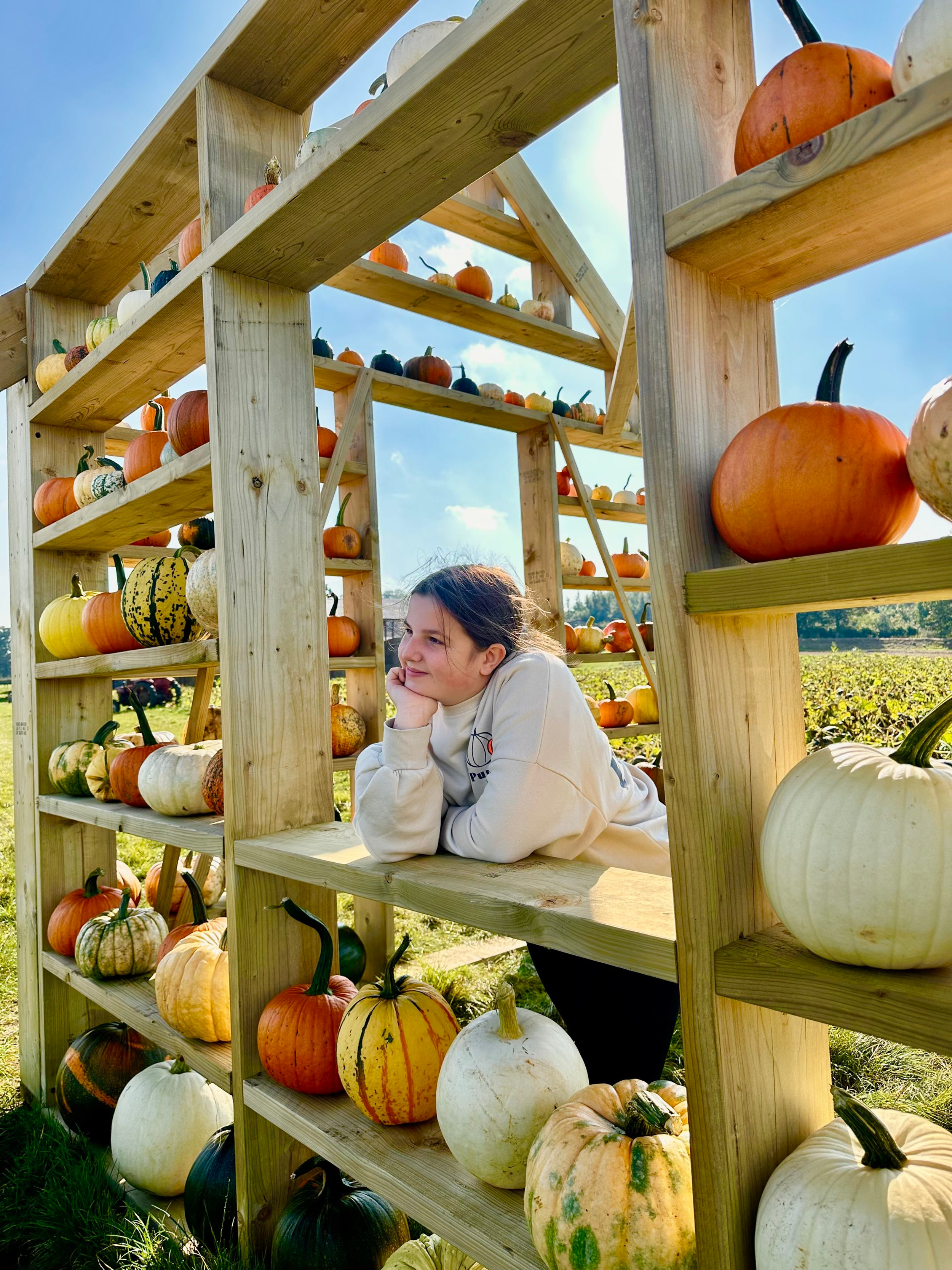 Your Guide to the Best Pumpkin Picking Patches Near Harrogate