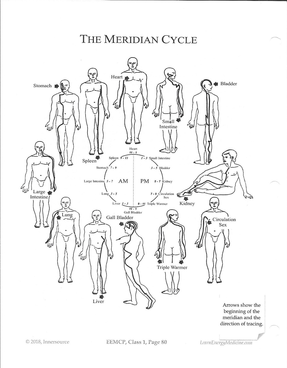 How to keep the energy flowing to maintain your Health! Meridians Magic ...