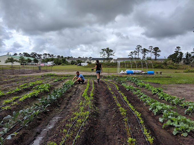 Rise Up Community Farm | Wilmington, NC