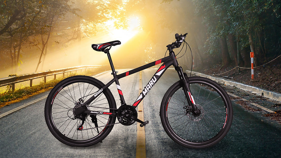 RAIDEN | Maru Bikes