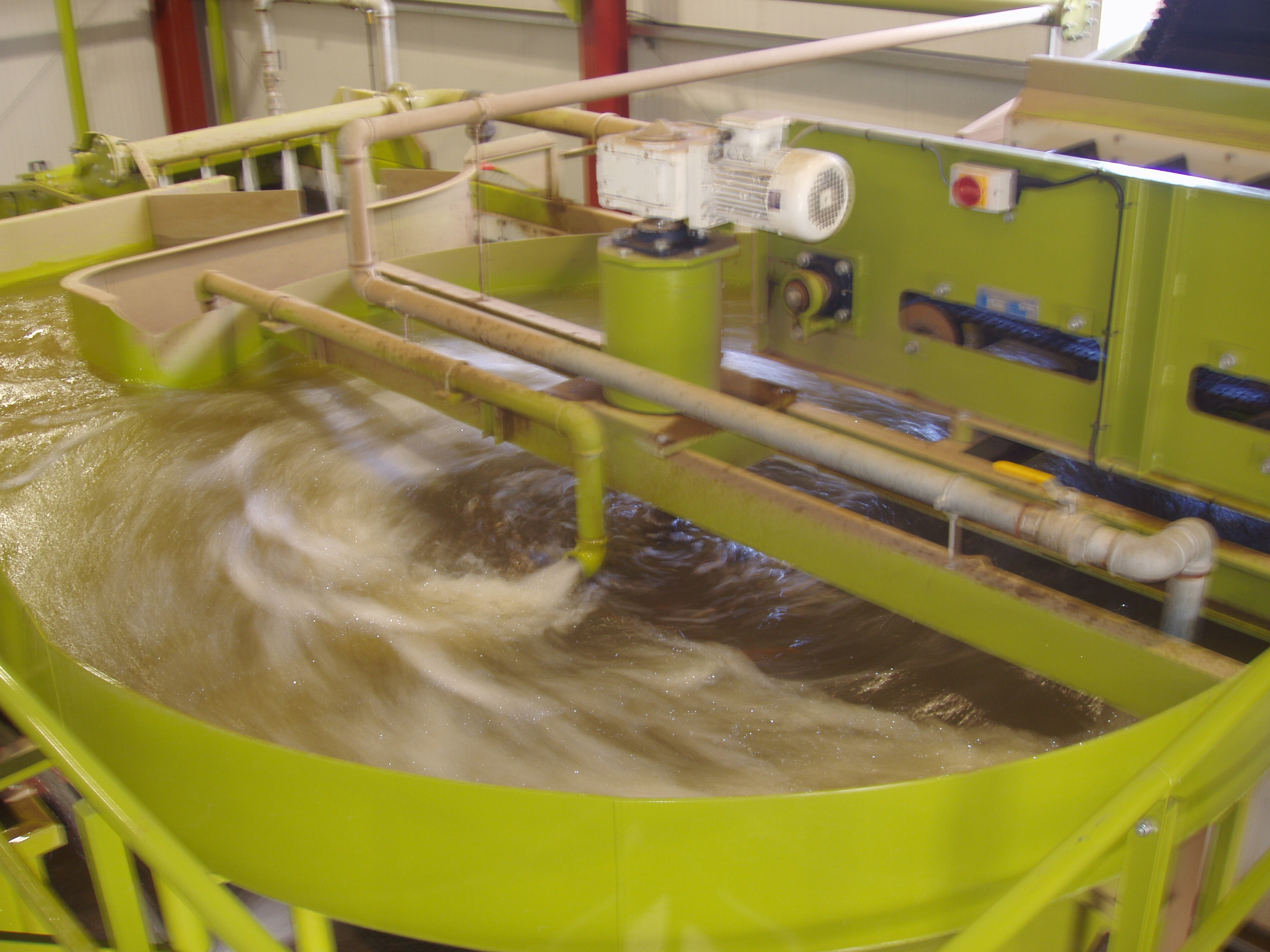 Cyclone Destoner - Carrot Vegetable Stone remover | Niagri