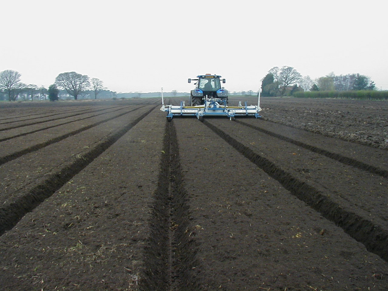 Bed Former - Raised bed planting | Niagri