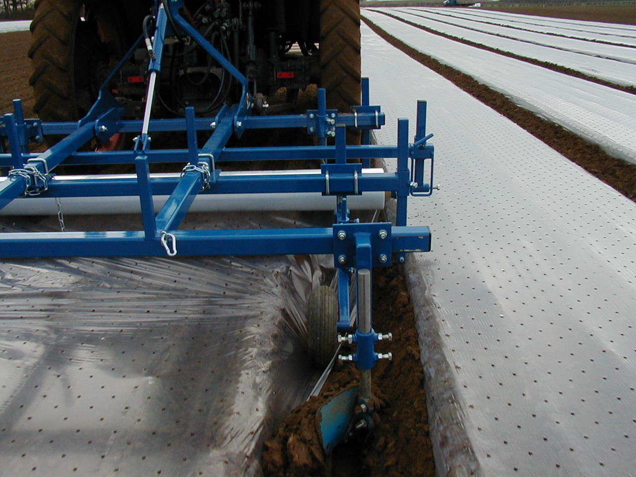 Polythene Layer - Poly Layer | Niagri