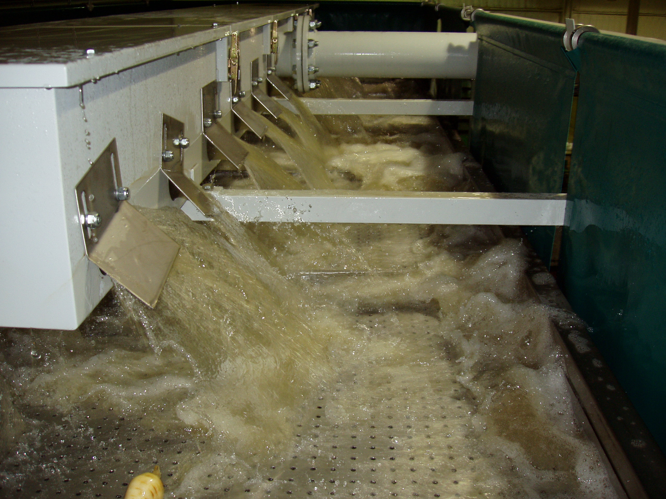 Hydro Coolers - Carrot and Parsnip Coolers | Niagri