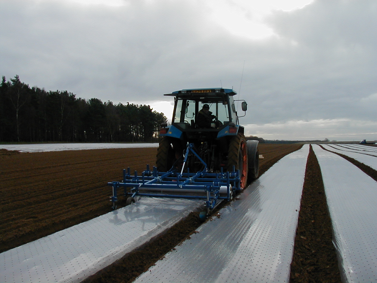 Polythene Layer - Poly Layer | Niagri