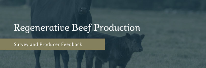 What does Regenerative Beef Production Mean to You?