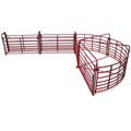 180° X 20 CATTLEMASTER OPEN-SIDED SWEEP SYSTEM | My Site