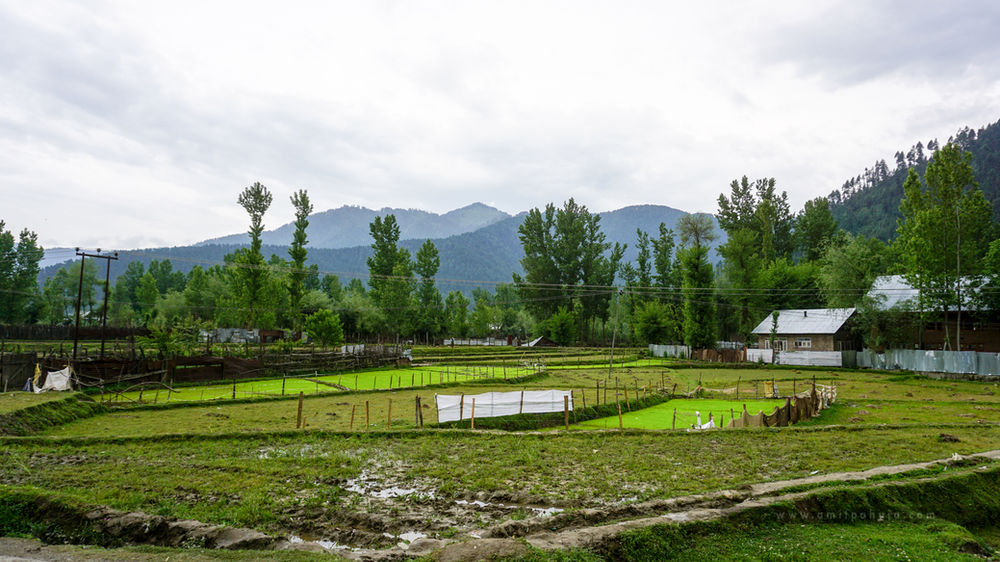Lolab Valley, the offbeat Kashmir