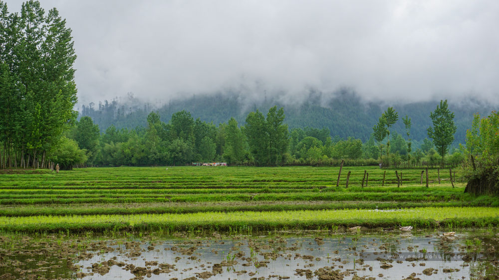 Breathtakingly beautiful Lolab Valley to the borders of PoK, Tangdhar ...