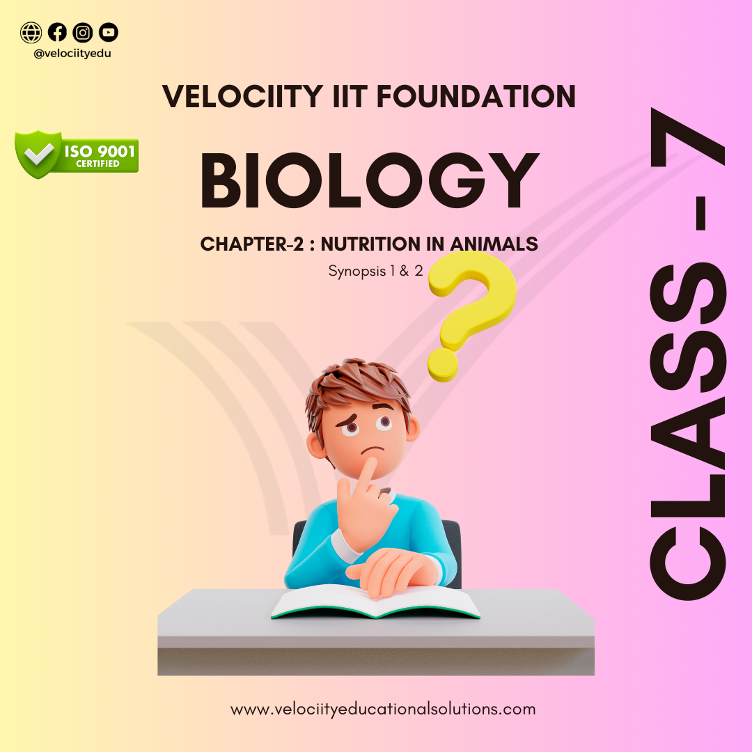 Class - 7: Biology - Chapter-2: Nutrition in Animals | Velociity