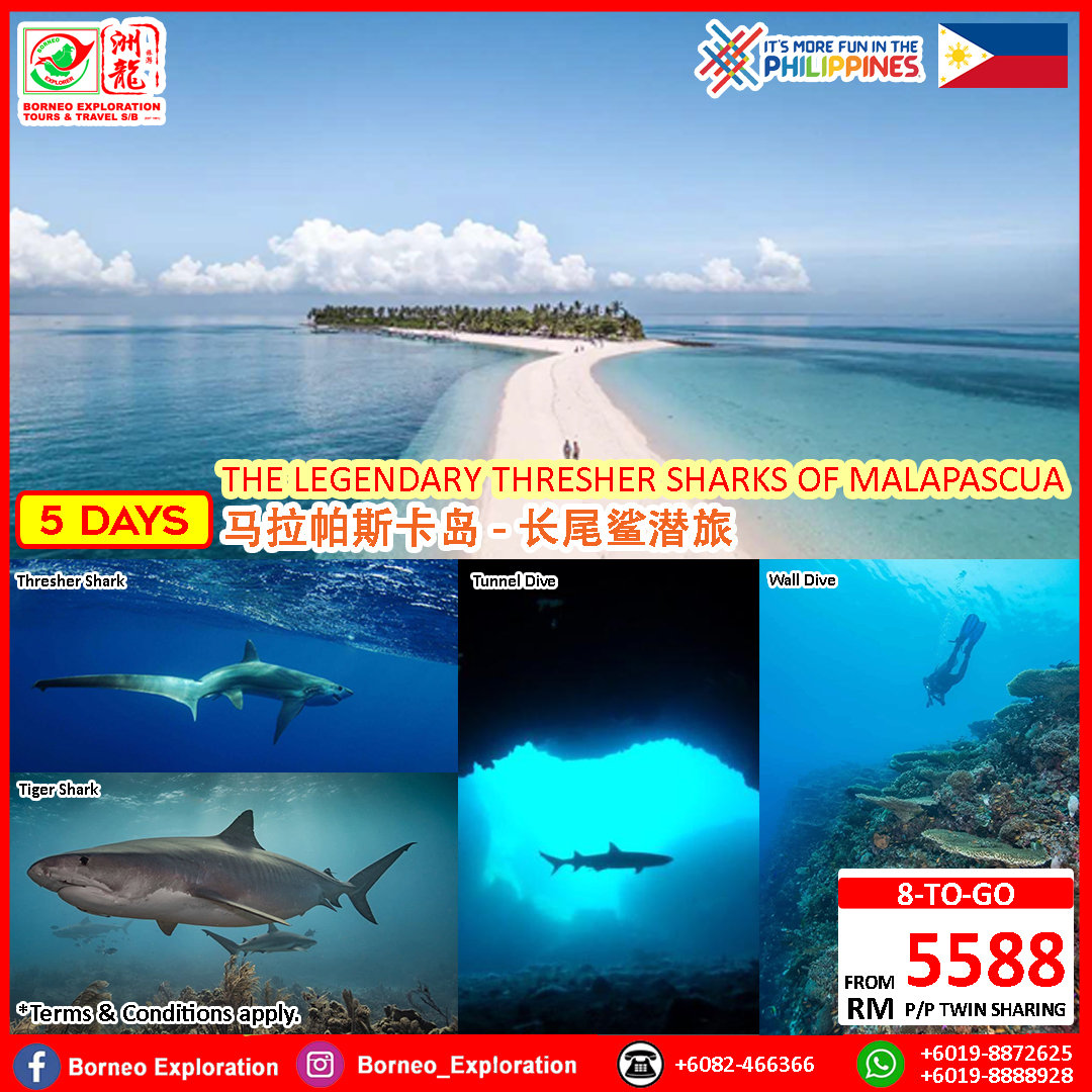 Malapascua Diving Tour