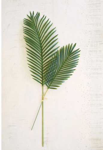Palm Stems | Benton House Designs