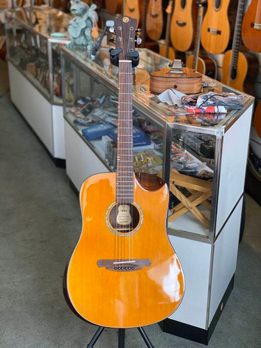 Alston Acoustic guitar Full size come with case | Kamehameha Ukulele