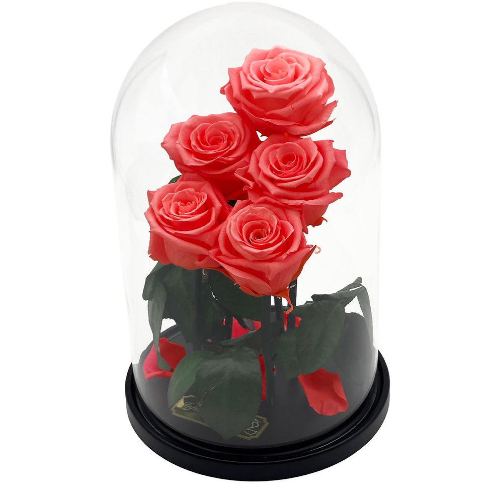 ROZES KOLBĀ | INFINITY ROZE LV