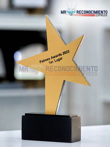RECONOCIMIENTO DE ESTRELLA EN ACRILICO | MR Reconocimientos