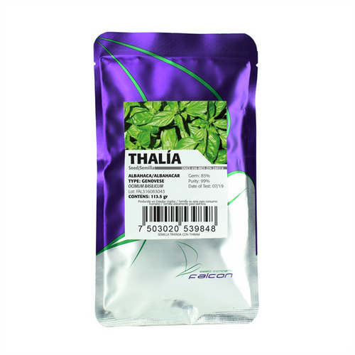 Albahaca Thalía | Falcon Seeds