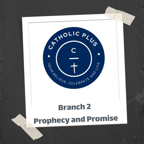 Branch 2 - Year 1 | CatholicPlus