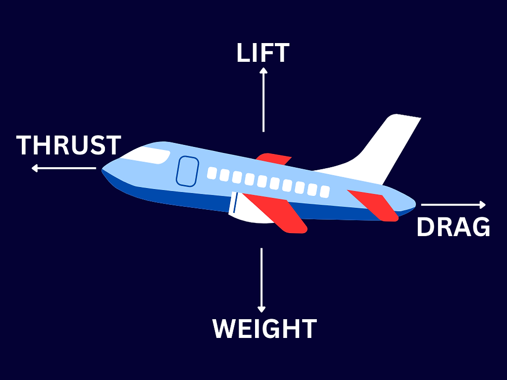 The Four Main Forces Of Flight
