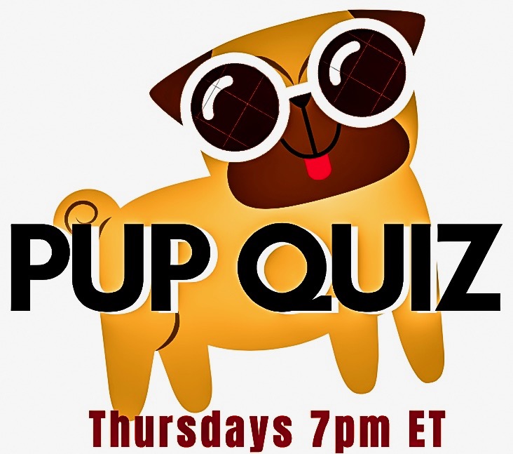 Home | Dan Schachner