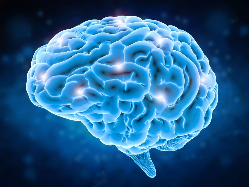 What is Neurogenesis?