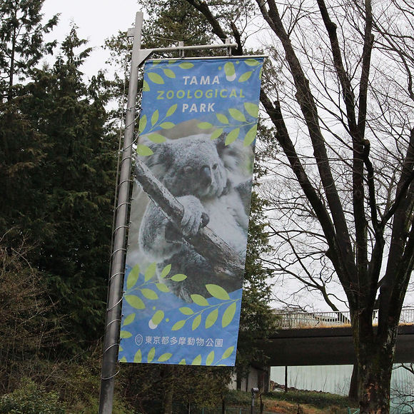 TAMA ZOO WELCOME BANNER | seto