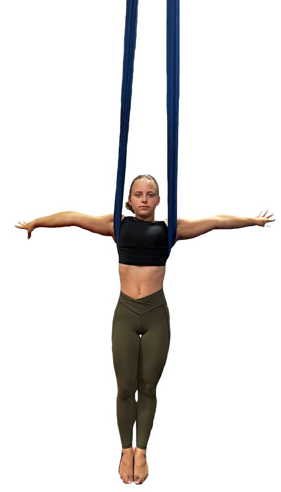 10 Beginner Aerial Silk Hammock Poses