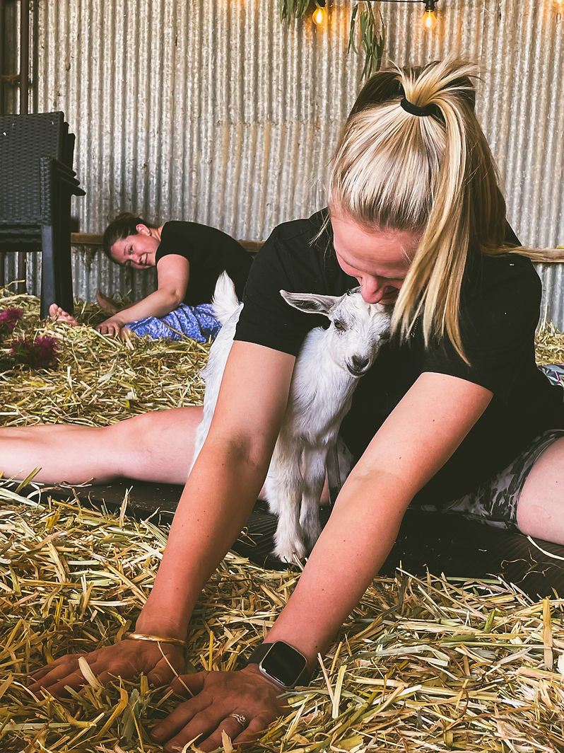 HOME | Tiny Goats And Co