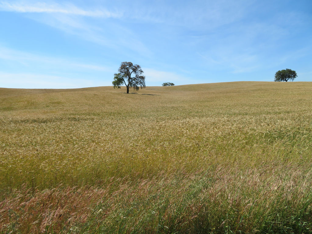 All Travel Blogs | Derek Schapper