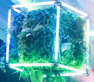 LED Pixel Cube Set | AOV