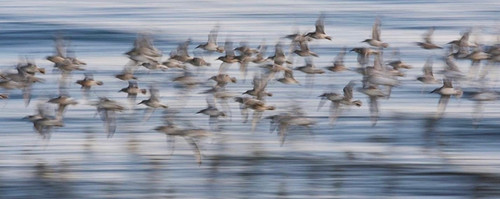 The Long Journey North | Geoff Simpson