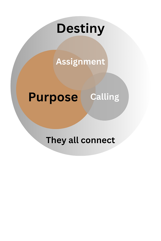 What's the difference in your calling and your assignment, your destiny ...