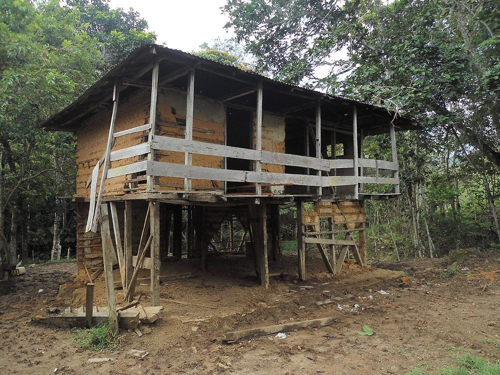 LAS CASAS DE TAPIA