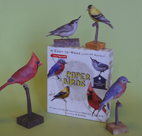 Four American birds ( and two European look - alikes ) | Johan Scherft