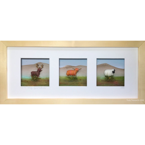 Long Triple Window Boxed Picture Stag, Highland Cow & Woolly Sheep ...
