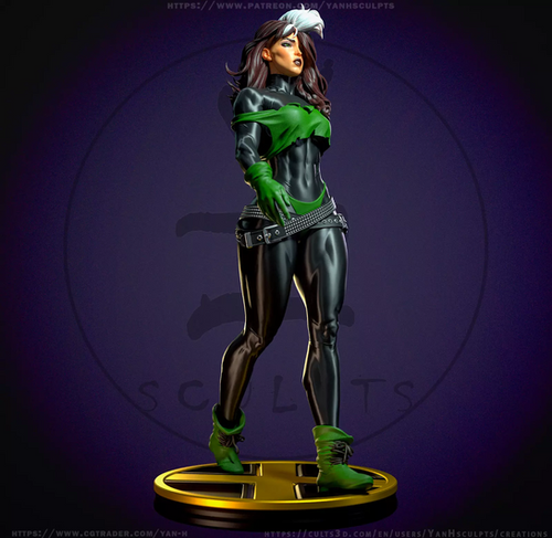 Punk Rogue - 1 x Unpainted Large Scale 3D Resin Printed Model Kit and ...