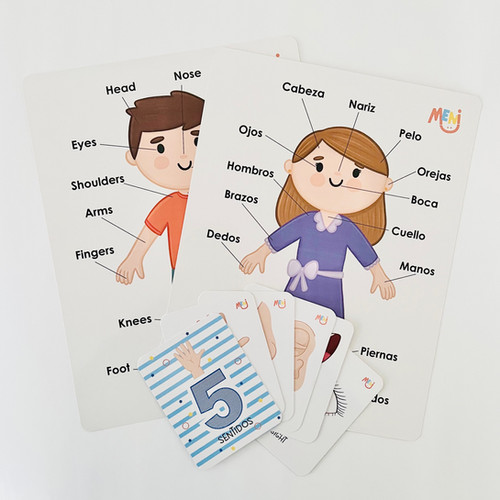 Flashcards 5 sentidos y cuerpo humano | Meni