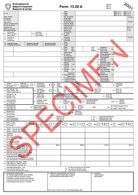 Zolldokumente und Fahrzeugdokumente I JuraLogistik