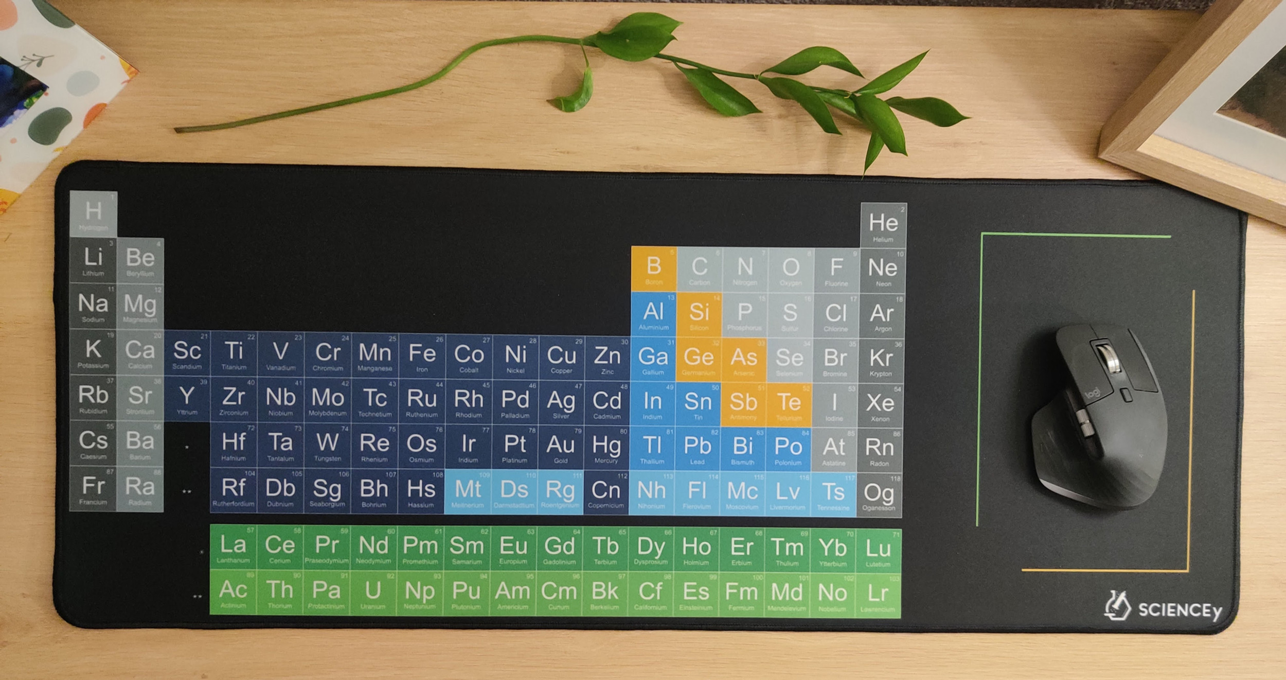 Shop | The Sciencey Company