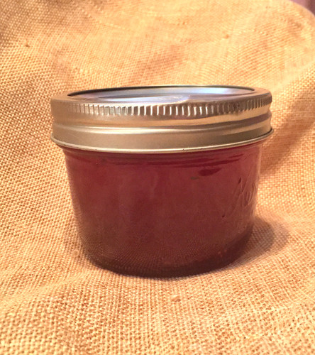 Juneberry Syrup | Lazy Turtle Ranch