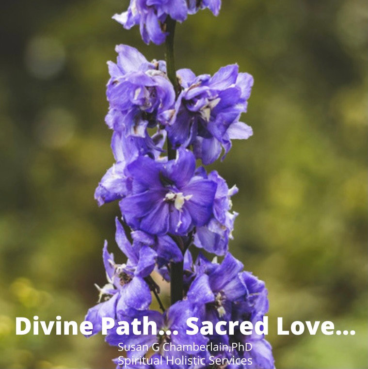 Divine Path... Sacred Love...