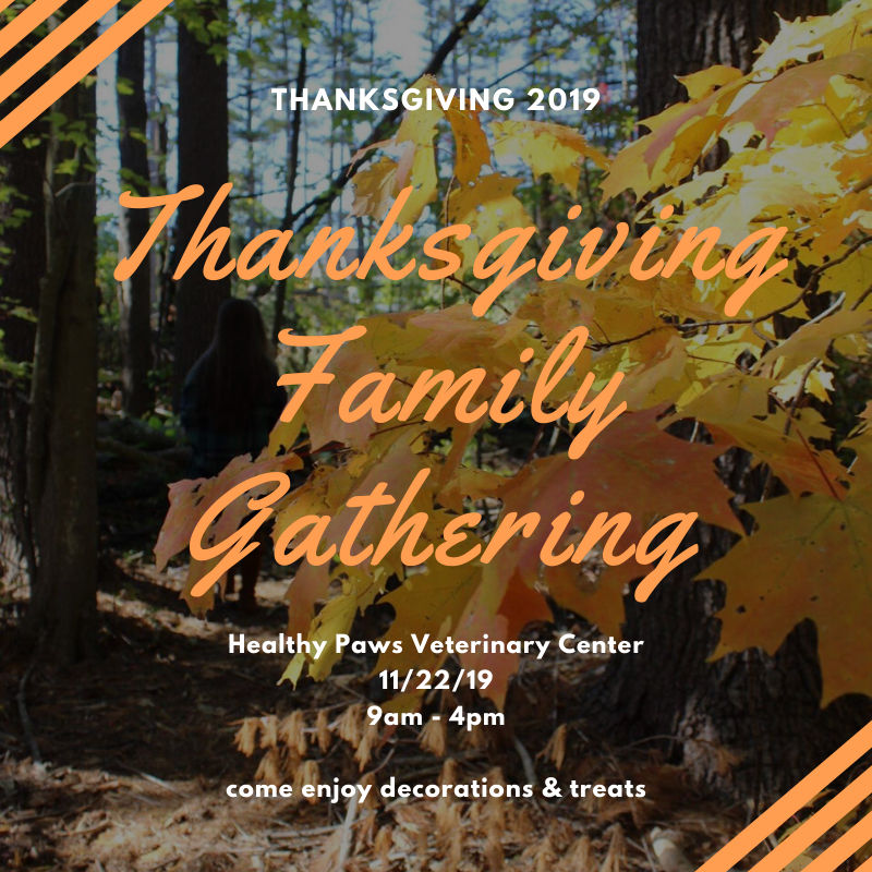 Thanksgiving Family Gathering