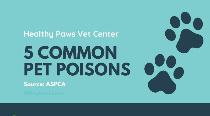 Pet Poison Prevention Month 2021