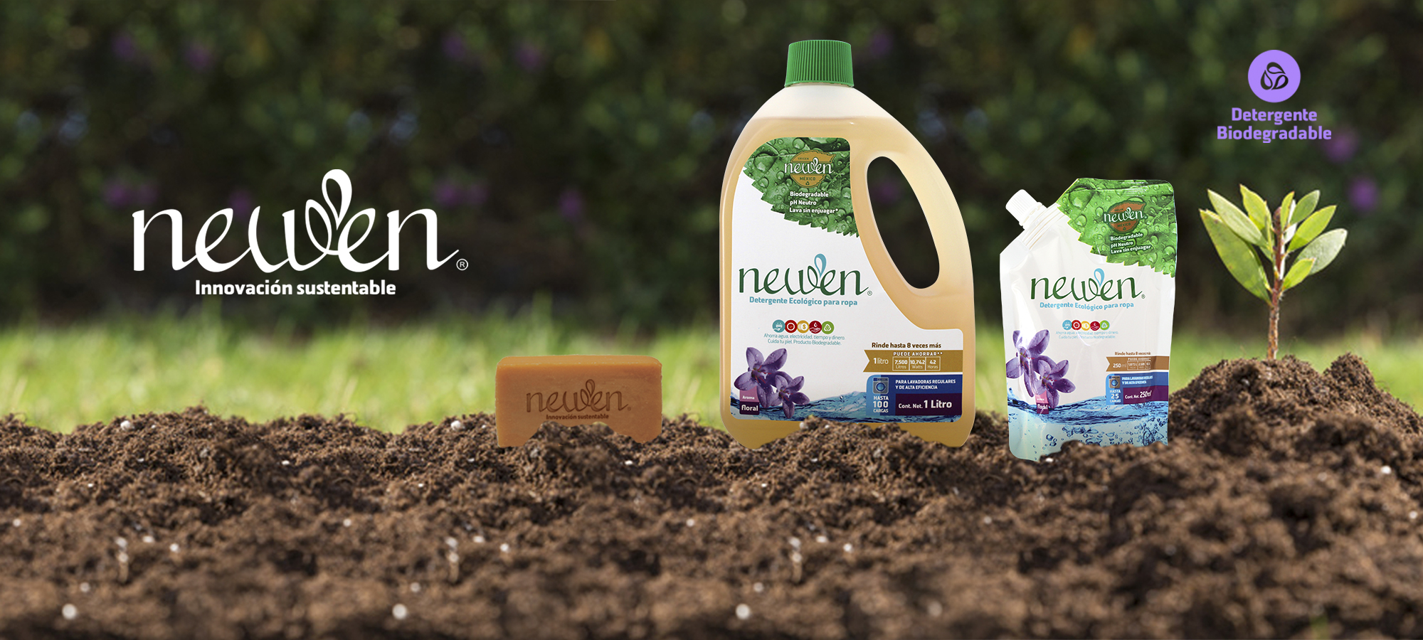 Inicio | Newen de México