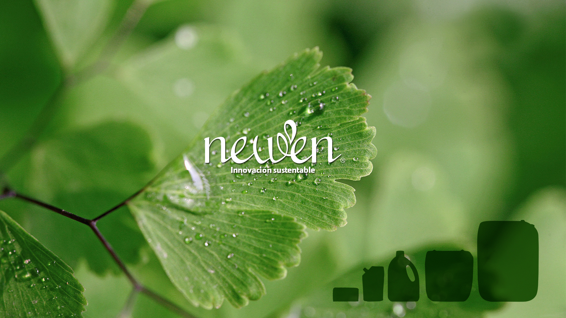 Inicio | Newen de México