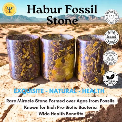 Habur Stone (Fossil Stone) Glass | East West Store