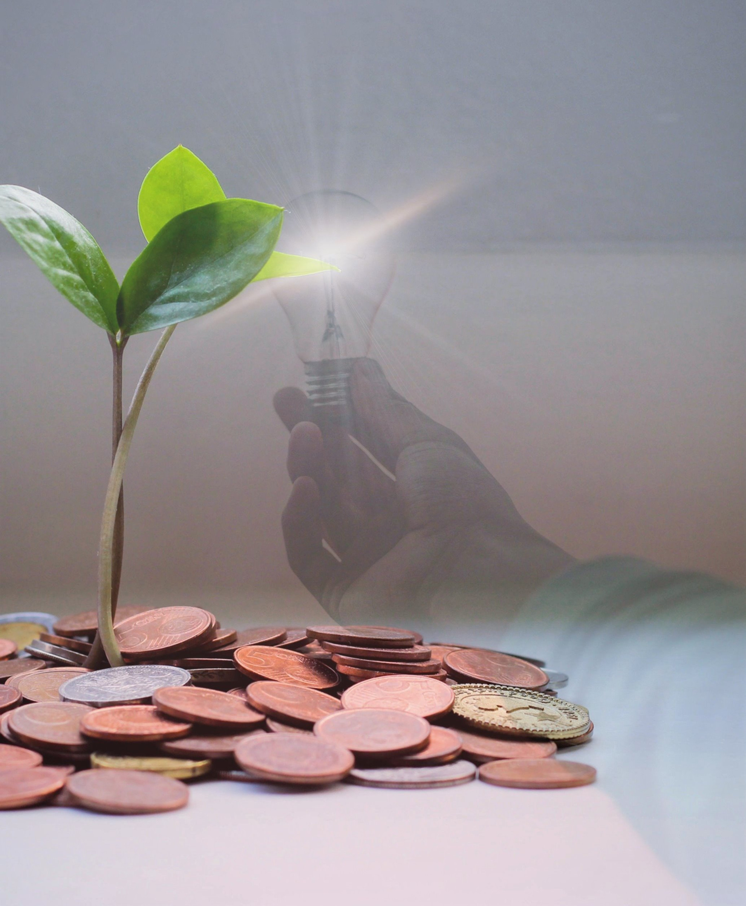 Financial Advisor Insurance | Distinction Risk Solutions