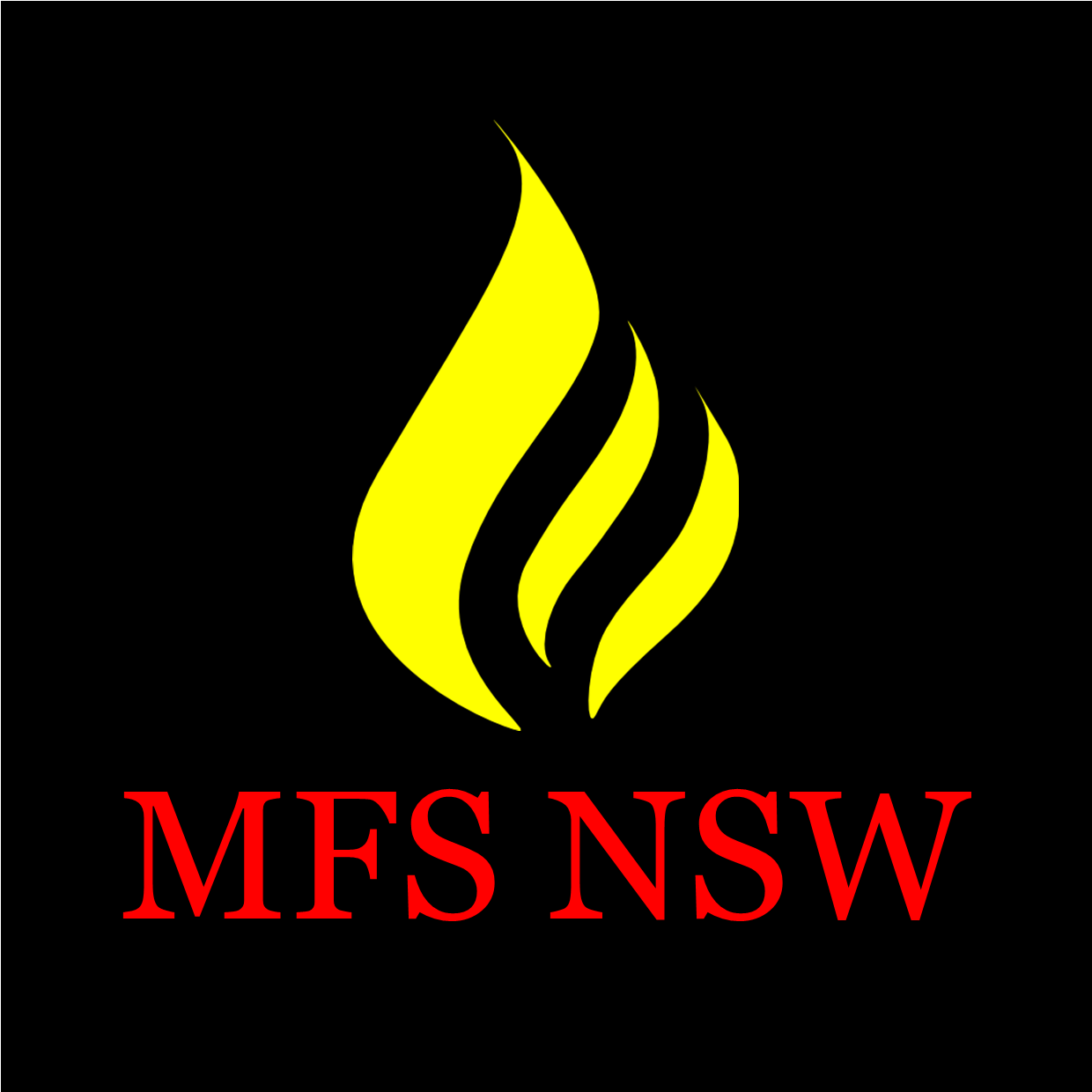 SOUTH COAST FIRE AND SAFETY SERVICES | MFS NSW
